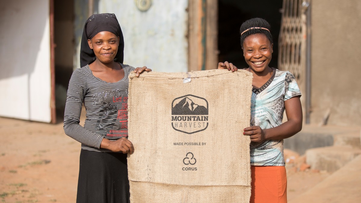 Chermayeff & Geismar & Haviv