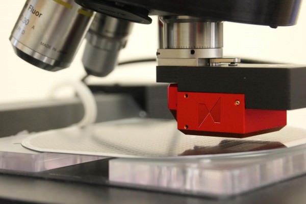 Chermayeff & Geismar & Haviv