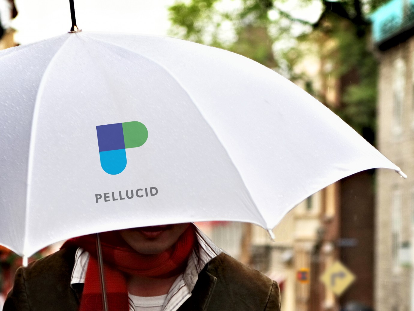 Chermayeff & Geismar & Haviv